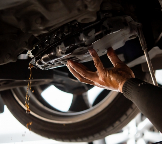 Brava CVT | Shop Brava Products